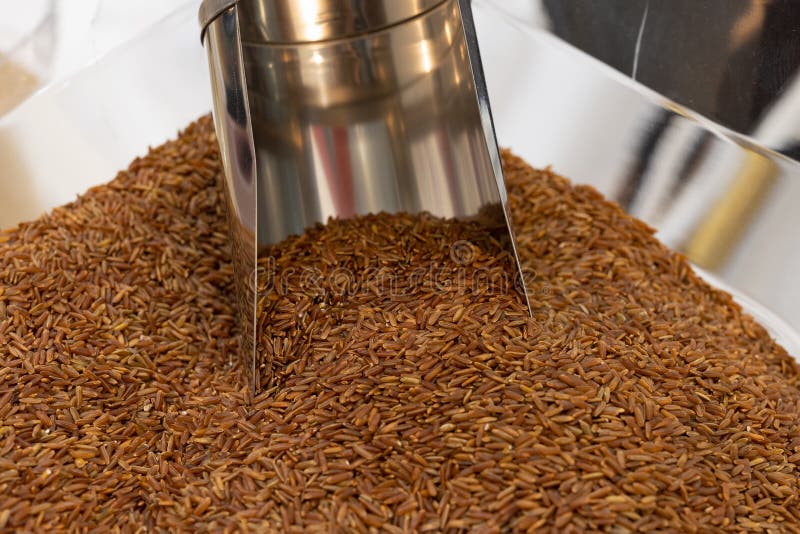 Brown Uncooked Rice Inside Big Bowl and Metallic Spoon Stock Photo ...
