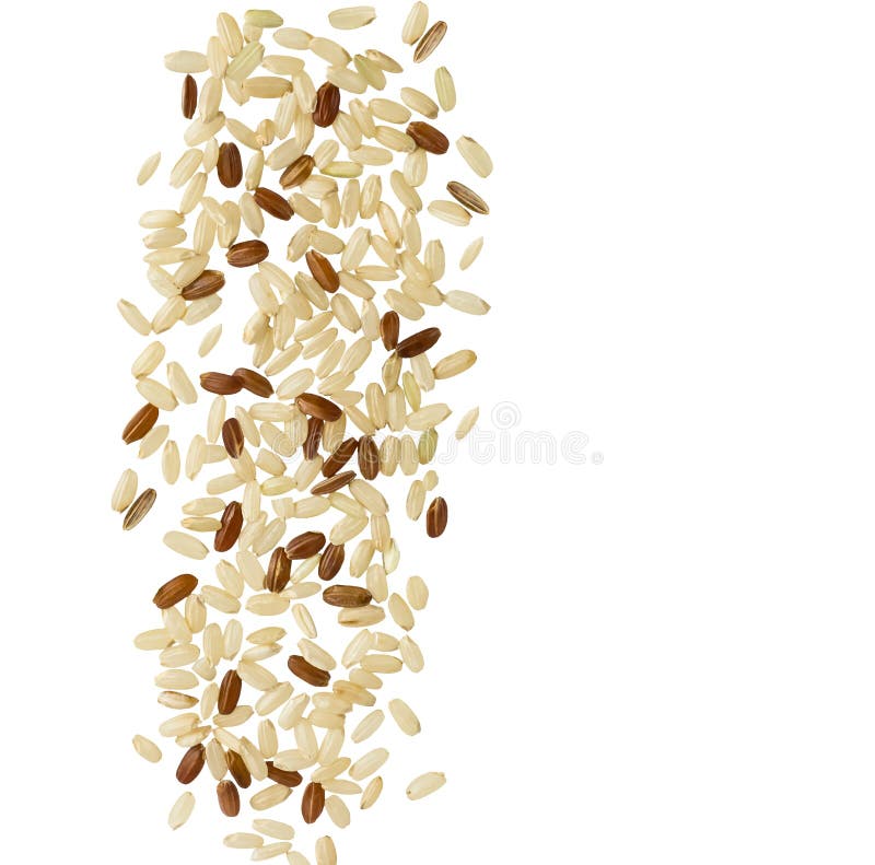 Brown Unpeeled Rice Falls Down Isolated on White Stock Illustration ...