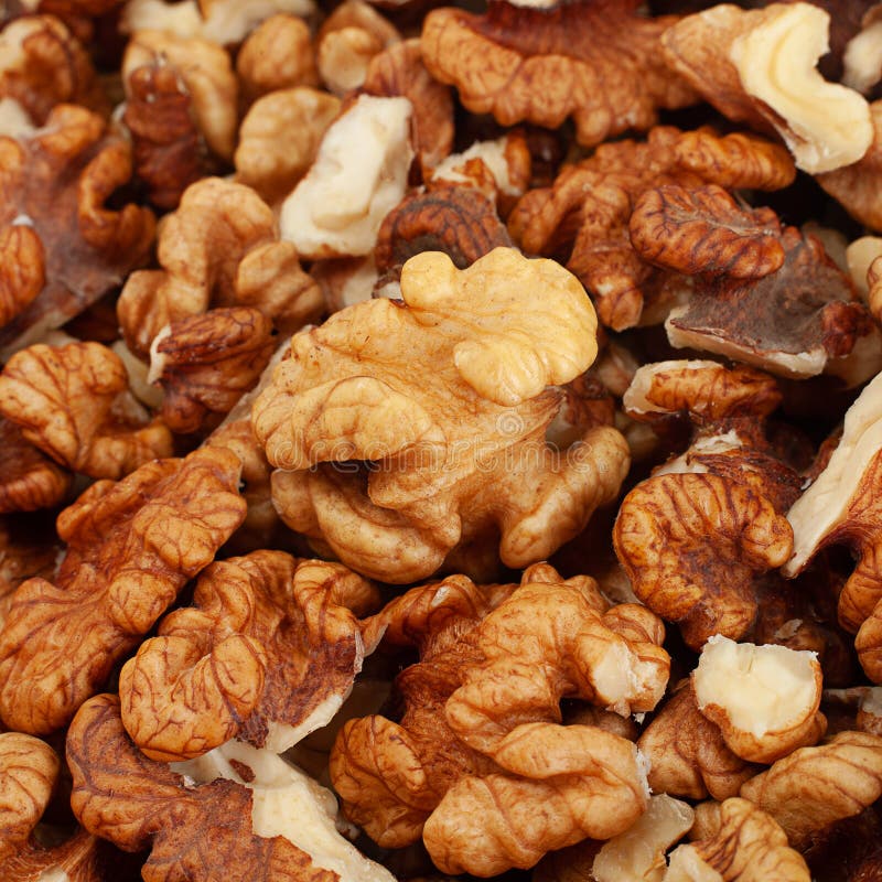Walnut brown nut closeup stock photo. Image of nobody - 22335110
