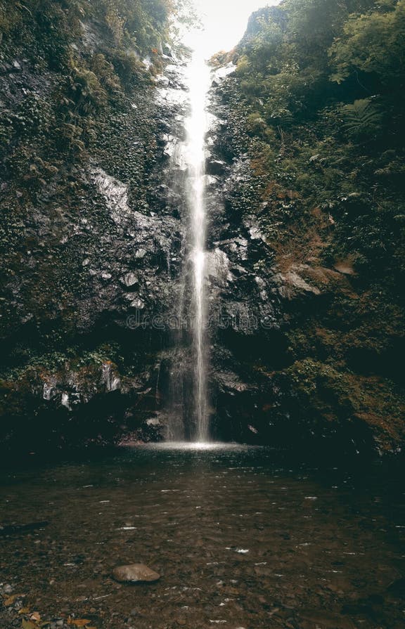 Brown waterfall portrait stock photo. Image of scenery - 202574132