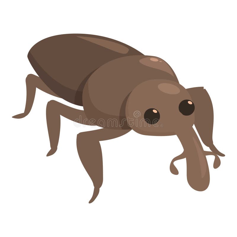 Brown Weevil is Crawling on a White Background Stock Vector ...