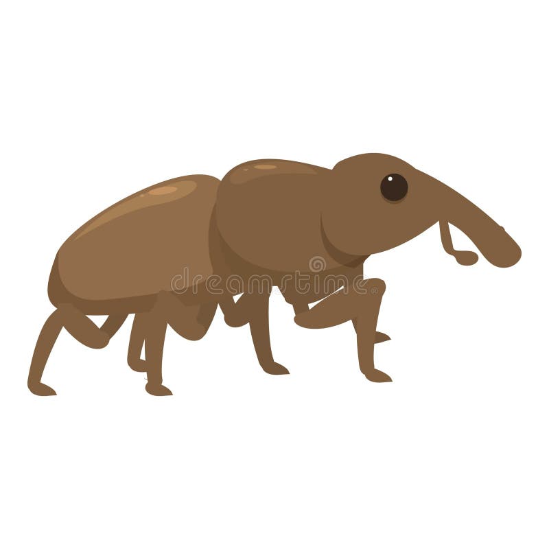 Brown Weevil is Taking a Stroll Stock Vector - Illustration of crop ...