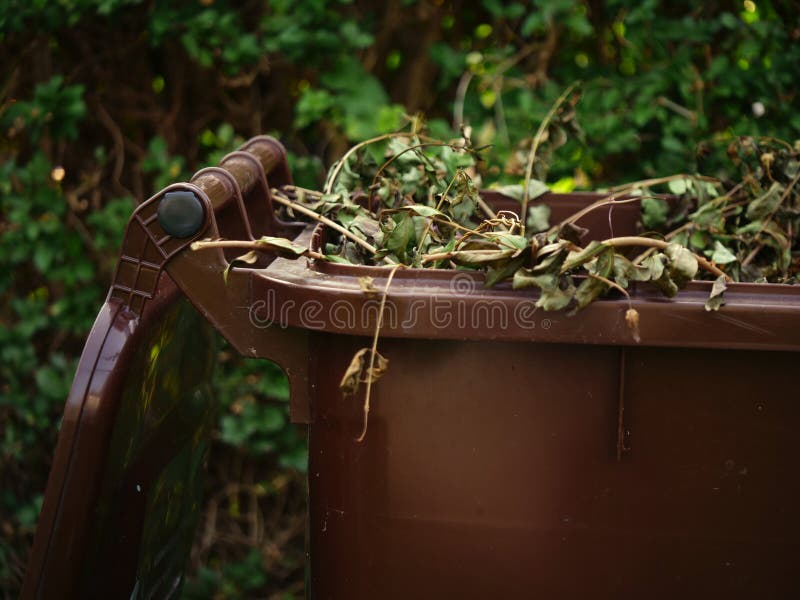 Brown Wheelie Bin for Garden Waste Medium Shot Stock Image - Image of ...