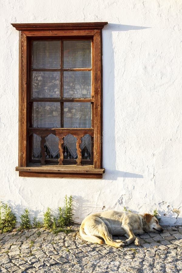 Brown window and dog stock image. Image of decor, vintage - 47811081
