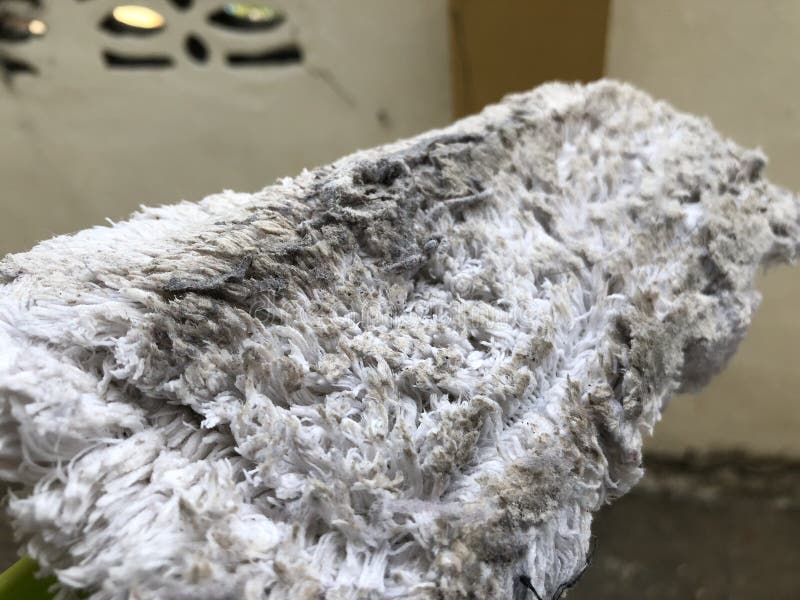 Brown Wipe Fabric for Cleaning Dust Stock Photo - Image of domestic ...