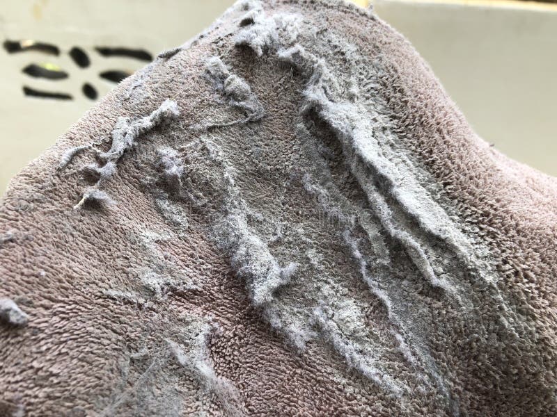 Brown Wipe Fabric for Cleaning Dust Stock Image - Image of hand ...