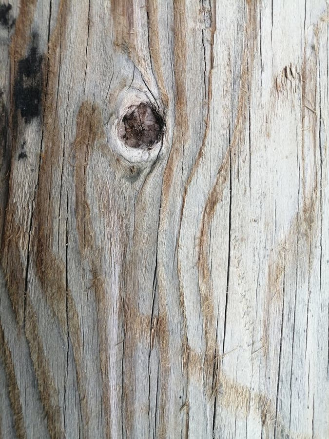 Brown wood texture patern stock image. Image of patern - 272153747