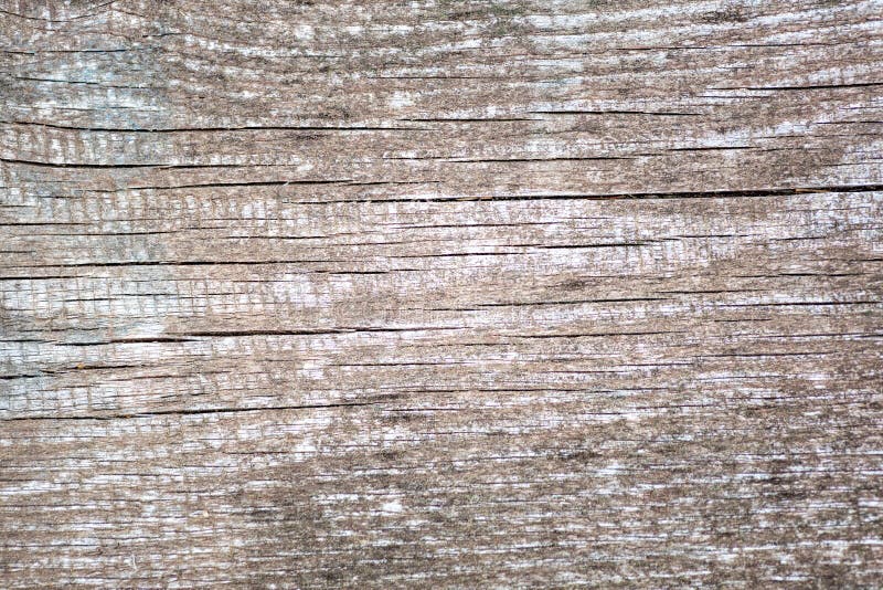 Brown Wood Texture with Traces of Corrosion Stock Photo - Image of ...