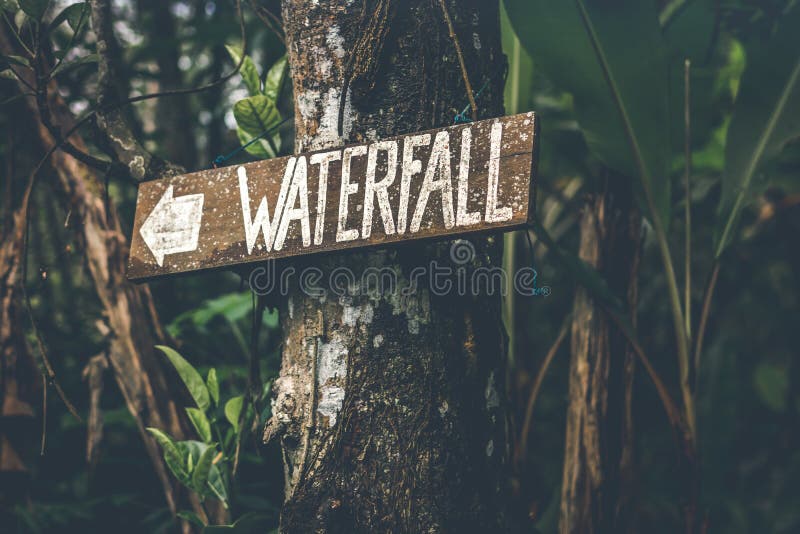 Brown Wooden Waterfall Direction Sign Placed On Brown Tree Bark Picture ...