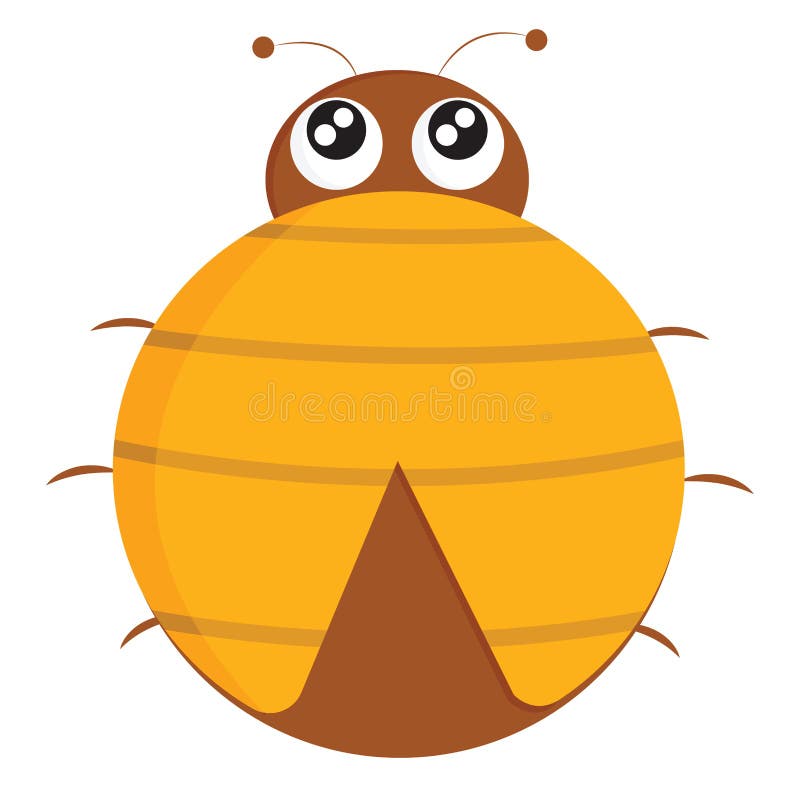 A Brown and Yellow Colored Bug, Vector or Color Illustration Stock ...