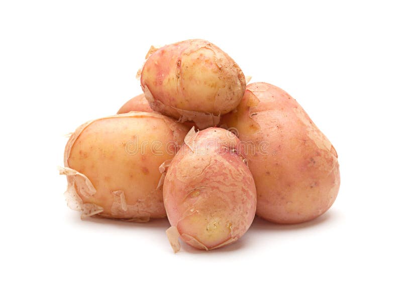 Young potato stock photo. Image of ingredient, food, potato - 9808096