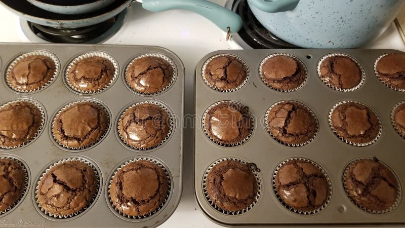 Brownie cups made by hand stock photo. Image of bakery - 240954598