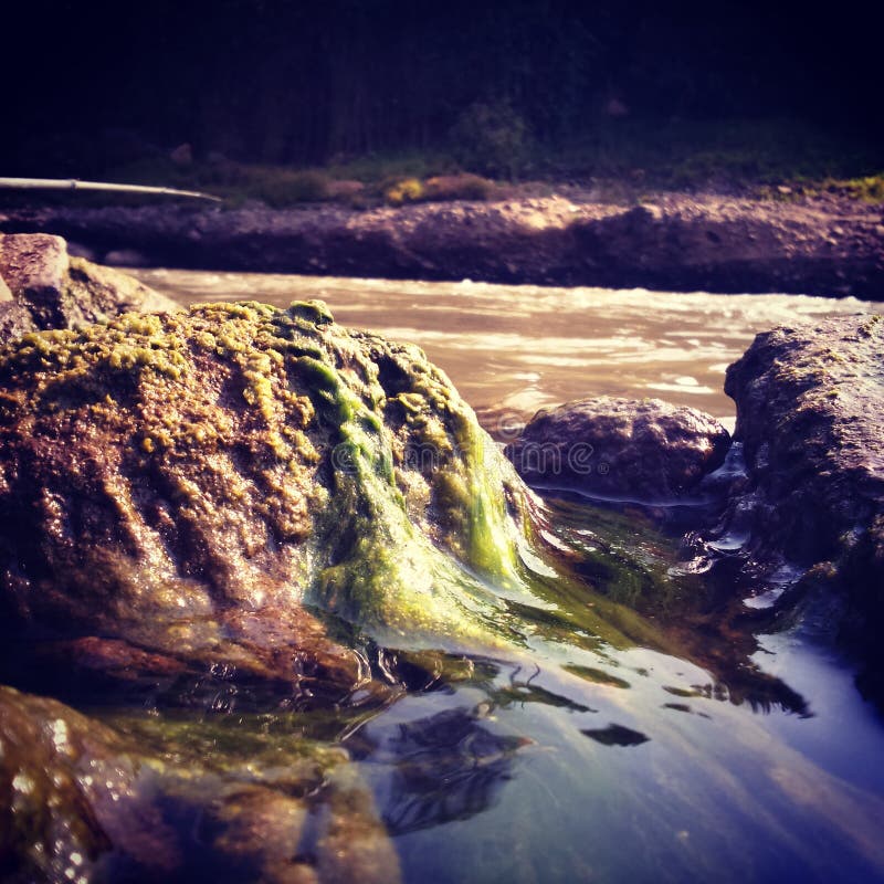 Brownish Green Moss Rocks in the River Stock Image - Image of rivers ...