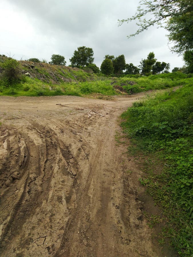 The Rural Path during Monsoon. Stock Photo - Image of bnyan, greenaryn ...
