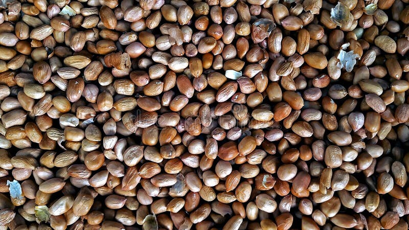 Browns Peanuts Stock Photos - Free & Royalty-Free Stock Photos from ...