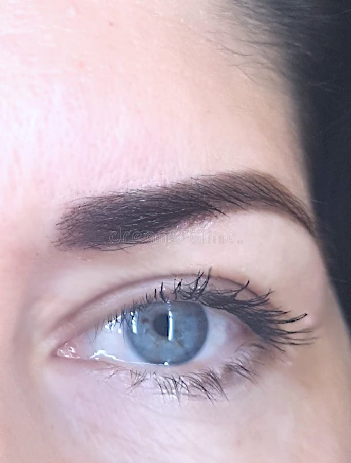 Brows stock photo. Image of correction, girls, natural - 131141426