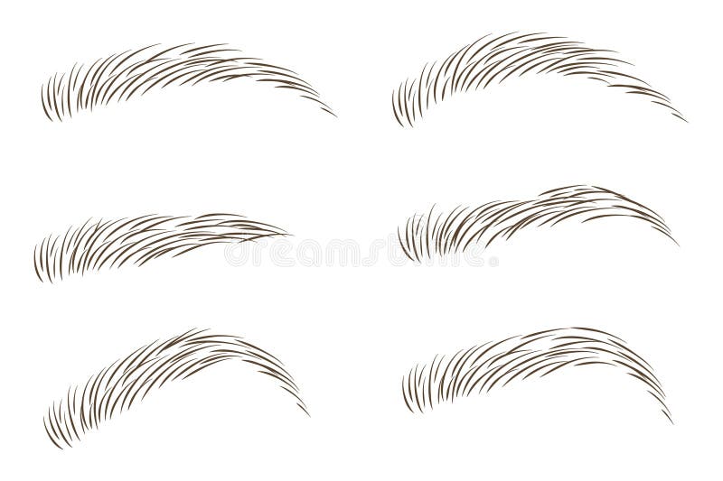 Brows Set Vector Illustration Design Stock Vector - Illustration of ...