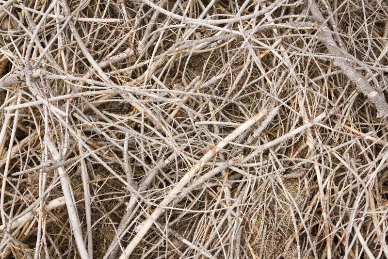 10,634 Broza Fotos de stock - Fotos libres de regalías de Dreamstime