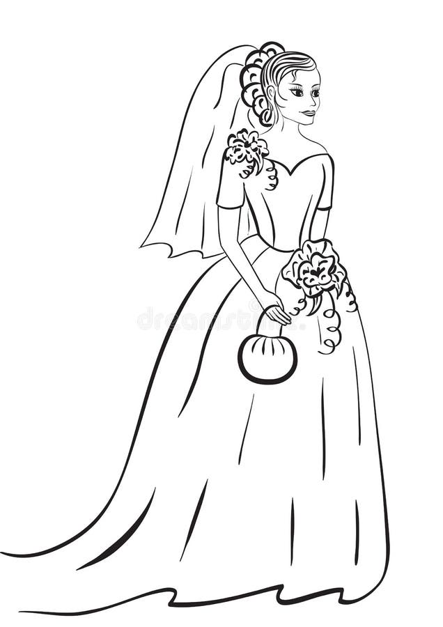Brud vektor illustrationer. Illustration av flicka, vektor - 30385697