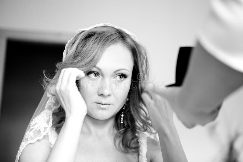 Brud arkivfoto. Bild av grupp, sitt, glädje, leende, livsstil - 10385052