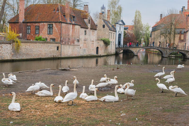 Bruges Castles in Spring with Reflection in the Lake Stock Photo ...