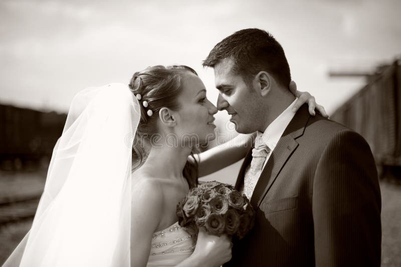 Bruid en bruidegom stock foto. Image of rijp, mensen - 21450474