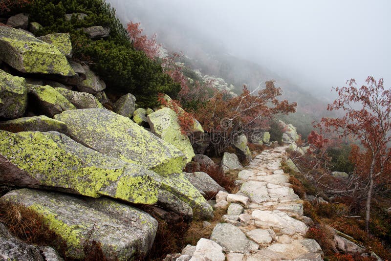 22,358 Photos de Chemin De Montagne Avec Des Pierres - Photos de stock ...