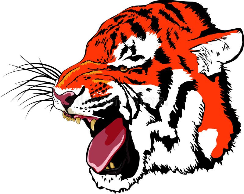 Brumma tigern vektor illustrationer. Illustration av vektor - 121465962