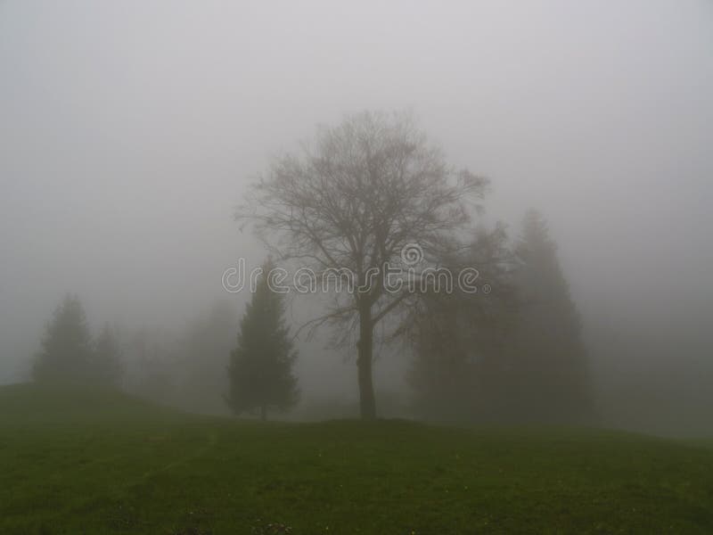 Brumoso foto de archivo. Imagen de lluvioso, grupo, niebla - 5441338