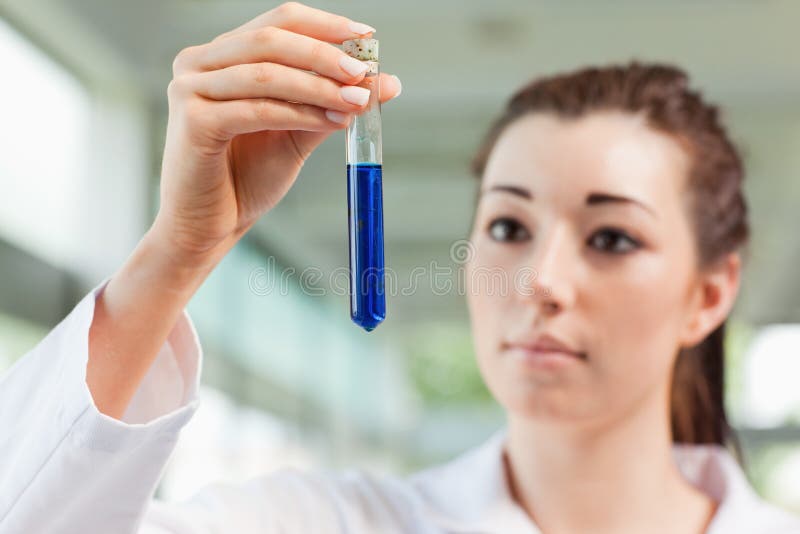 Scientist Looking at Test Tube Stock Image - Image of laboratory ...