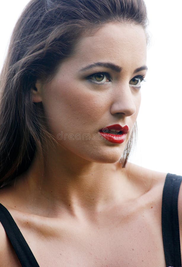 Brunette woman stock photo. Image of portrait, head, glamorous - 9505248
