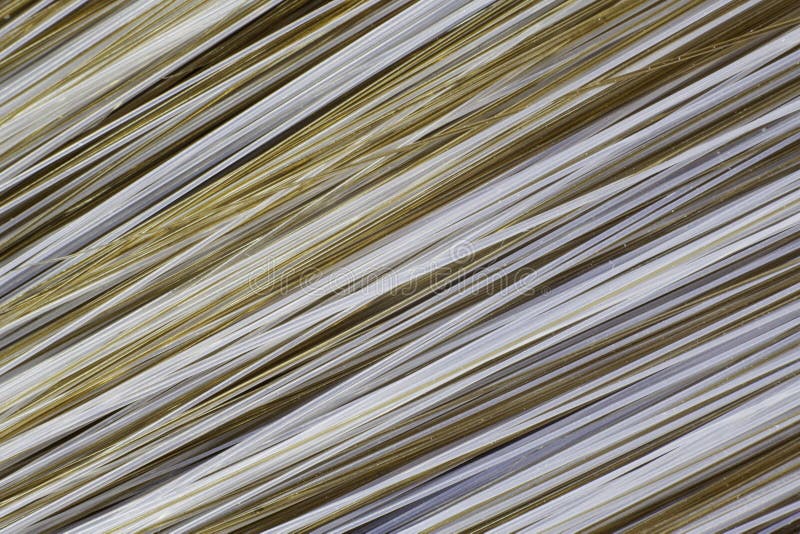 Brush bristles stock photo. Image of plastic, texture - 6646194