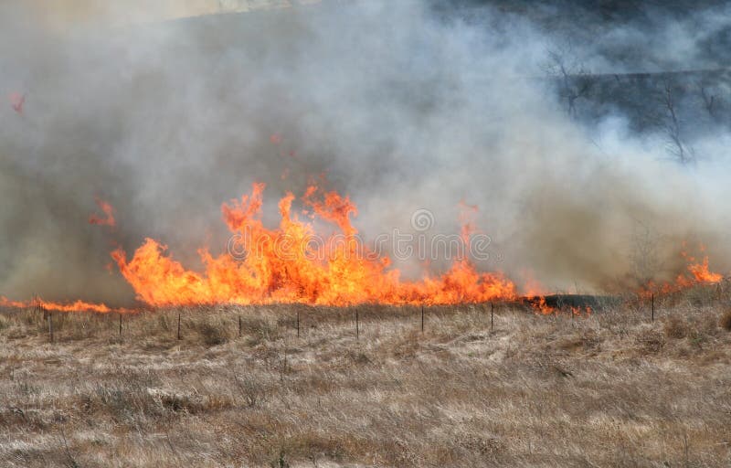 Brush fire stock image. Image of save, orange, light, rescue - 3181979
