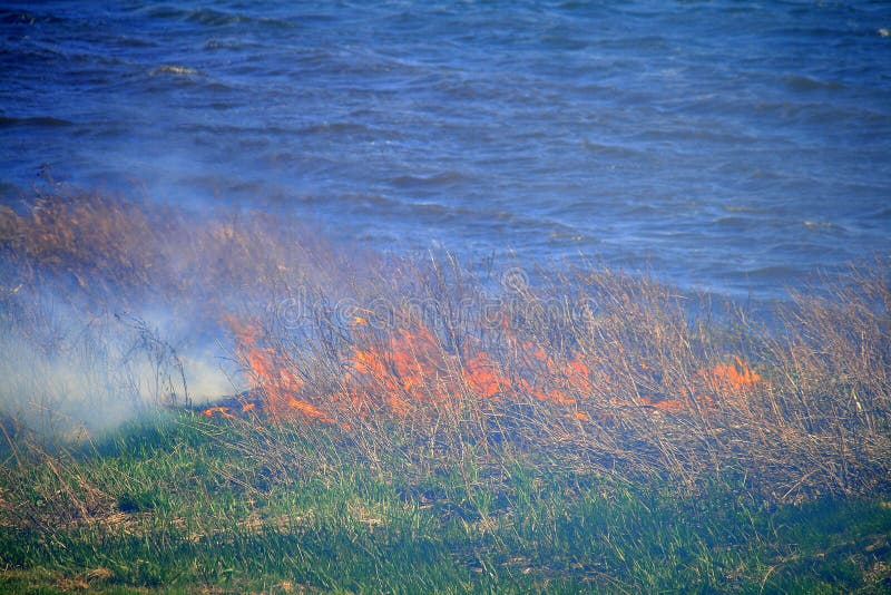 Brush Fire stock photo. Image of spring, brush, water - 9446544