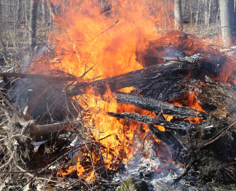 Brush Fire Outdoors during Spring Stock Photo - Image of bonfire, wood ...