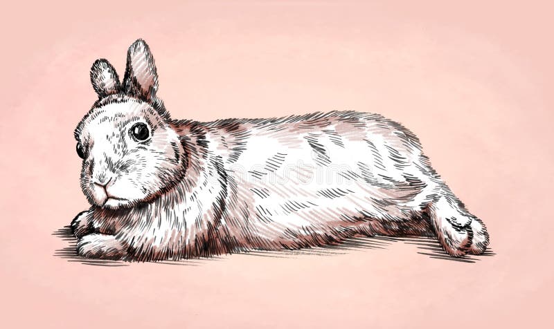 Brush Painting Ink Draw Rabbit Illustration Stock Illustration ...