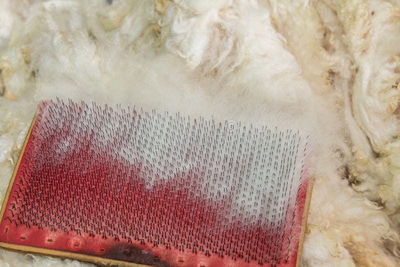 Comb brush sheep wool stock photo. Image of skin, nature - 39995212