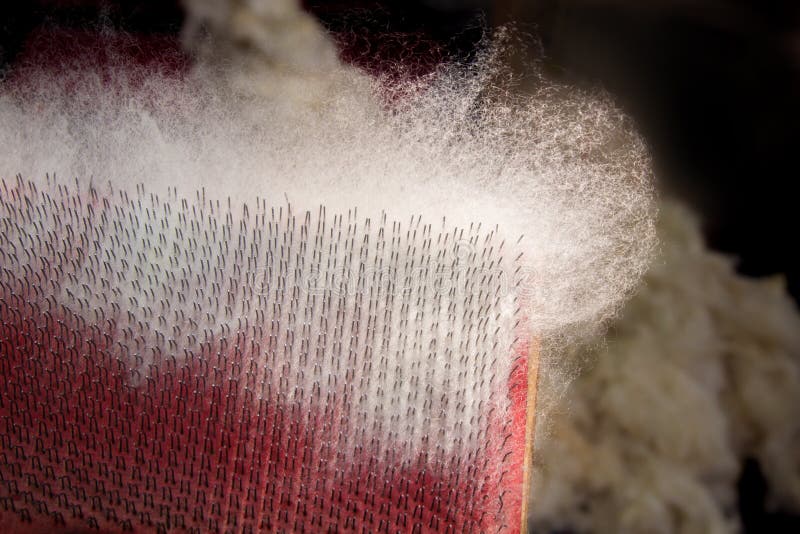 385 Brush Sheep Wool Stock Photos - Free & Royalty-Free Stock Photos ...