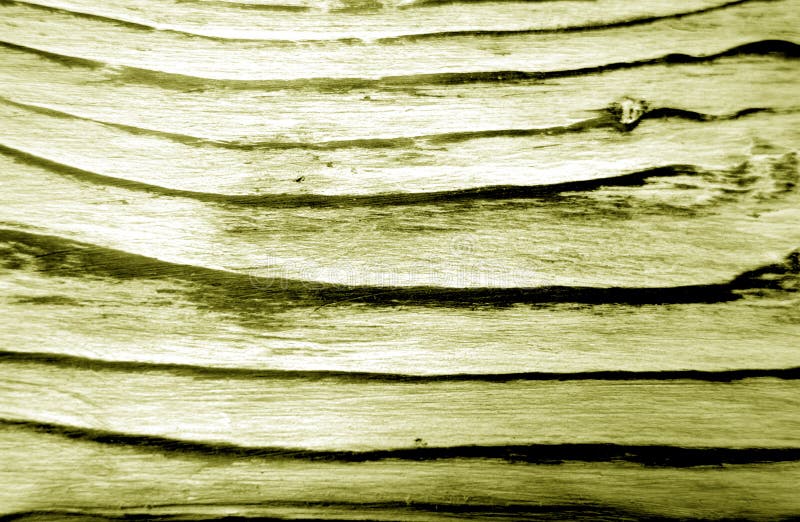 Brushed Pine Wood Texture in Yellow Tone Stock Image - Image of aged ...