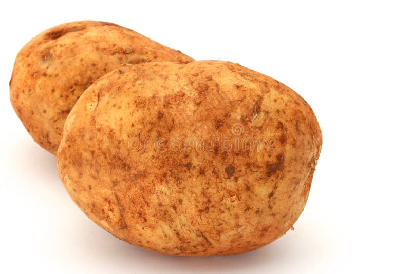 Potato bunch stock photo. Image of meal, dill, freshness - 48230234