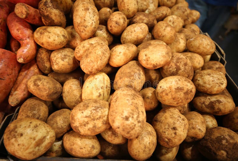 Brushed Potatoes at Australian Market Stock Image - Image of golden ...