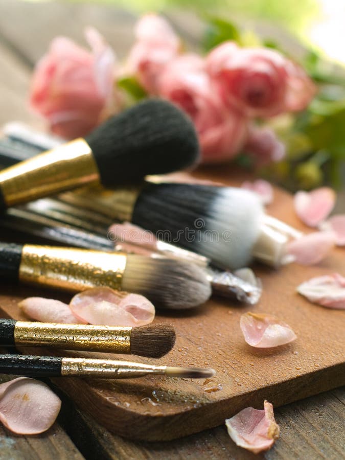 Brushes stock image. Image of drop, applicator, petal - 26320239