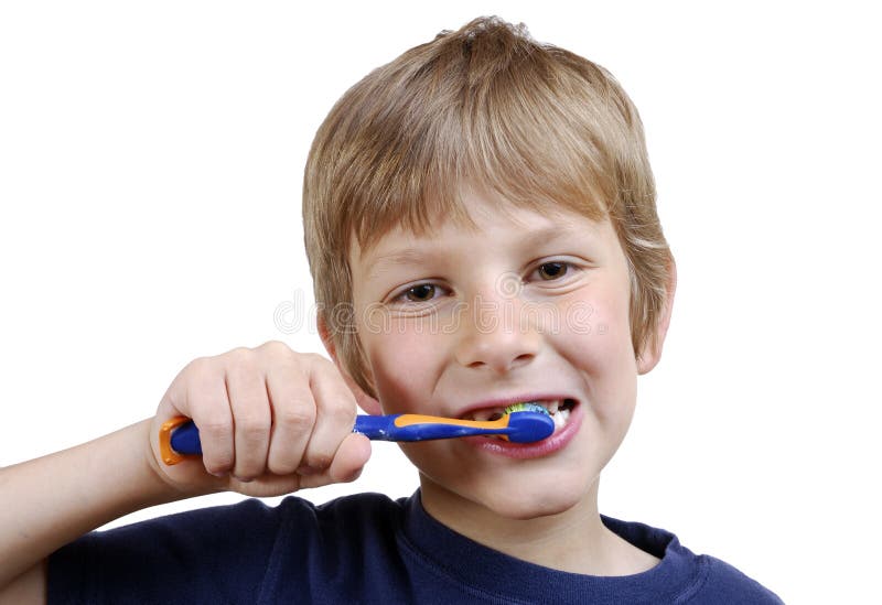 Brushing teeth stock image. Image of healthcare, dental - 2495005
