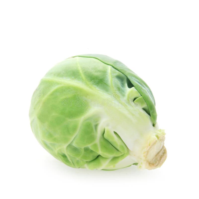 8,201 Single Sprout Stock Photos - Free & Royalty-Free Stock Photos ...