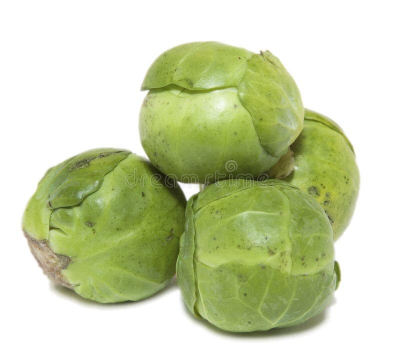 Brussel Sprouts Isolated on White Background Stock Image - Image of ...
