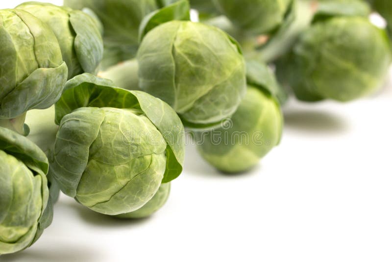 Brussel Sprouts on a White Background Stock Image - Image of small ...