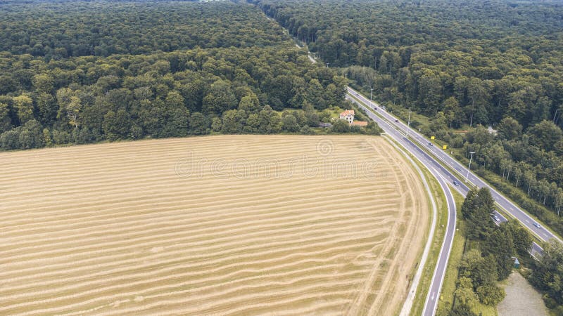 Aerial View of a Forest, Bordered by Fields and Crossed by a Highway ...