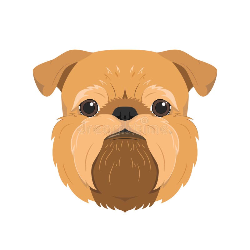 Brussels Griffon Vector Breed Dog Illustration. Cartoon Funny Pet ...