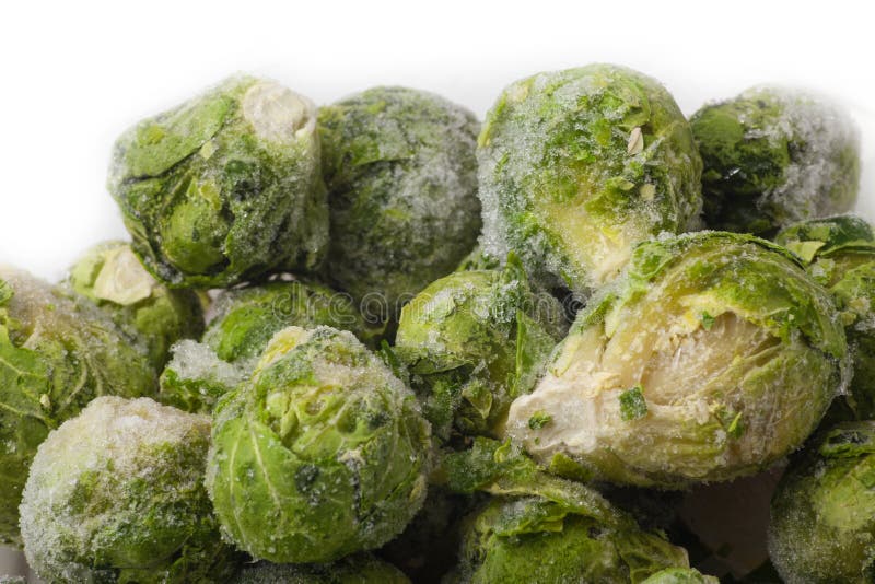 Brussels sprouts cabbage stock image. Image of nutrition - 42310291