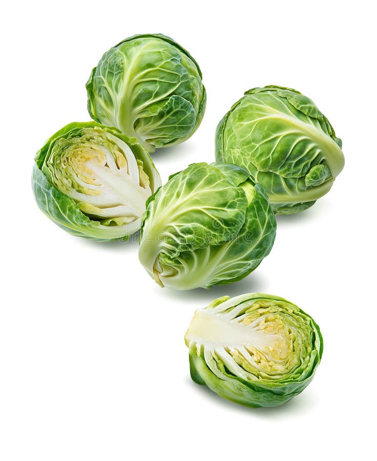 Brussels Sprouts Cut in Half Isolated on White Background. Vertical ...